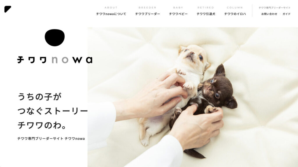チワワnowa – 株式会社alanize〔アラナイズ〕